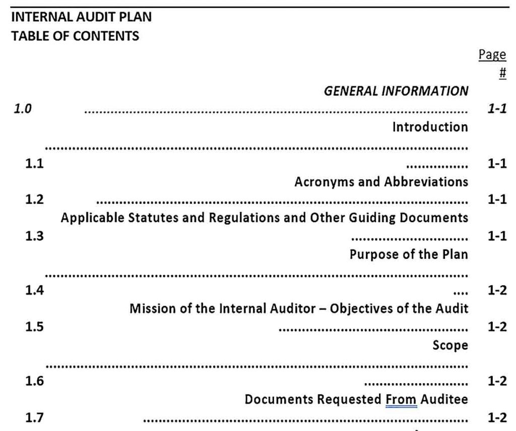 Audit Plan Template | shop fresh